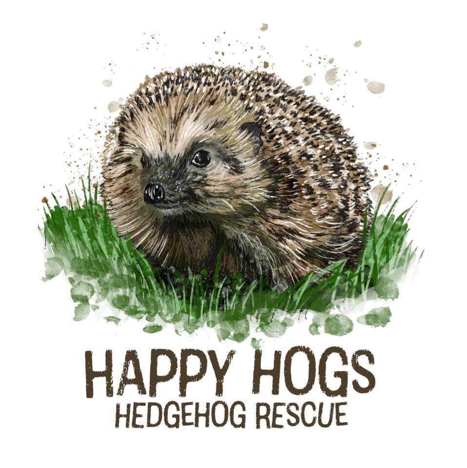 Happy Hogs Hedgehog Rescue Centre | Lynette Creswell’s Website & Blog